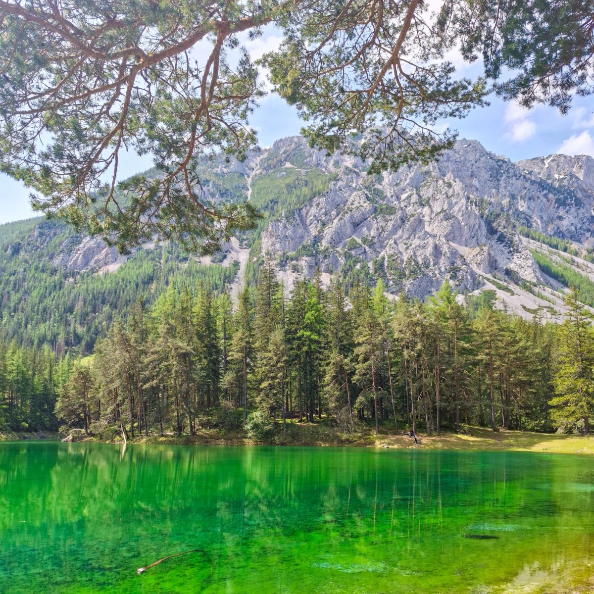 Exploring Grüner See: A Journey from Graz – Graz Magazine